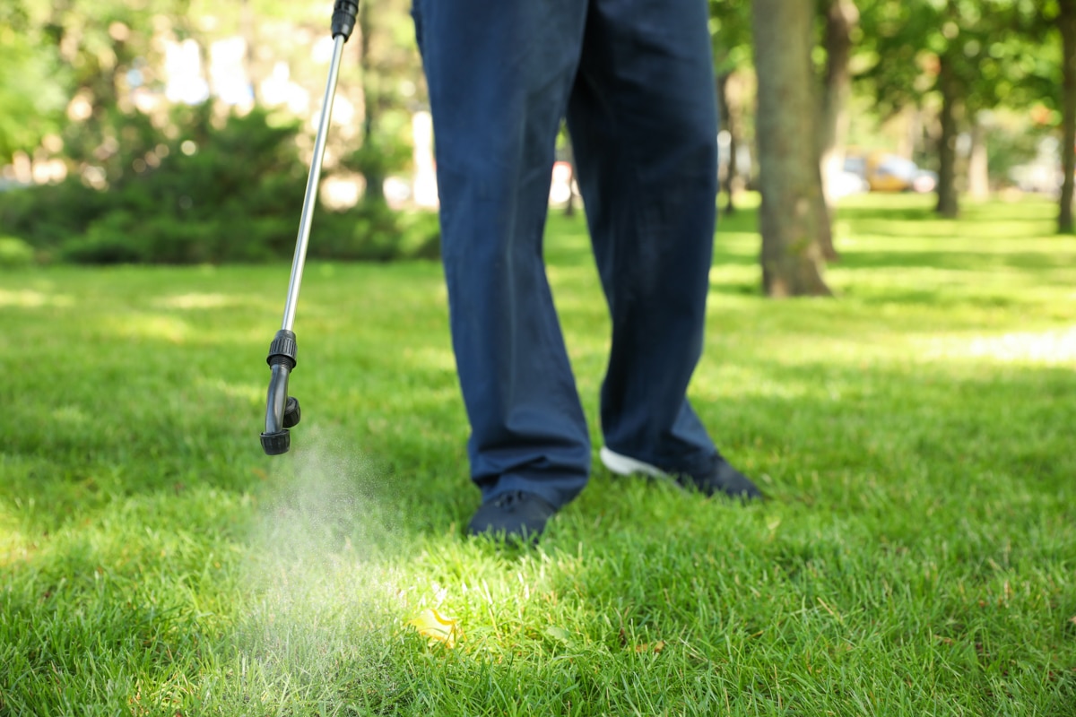 Pest Control in Southeast Dakota and Northeast Nebraska